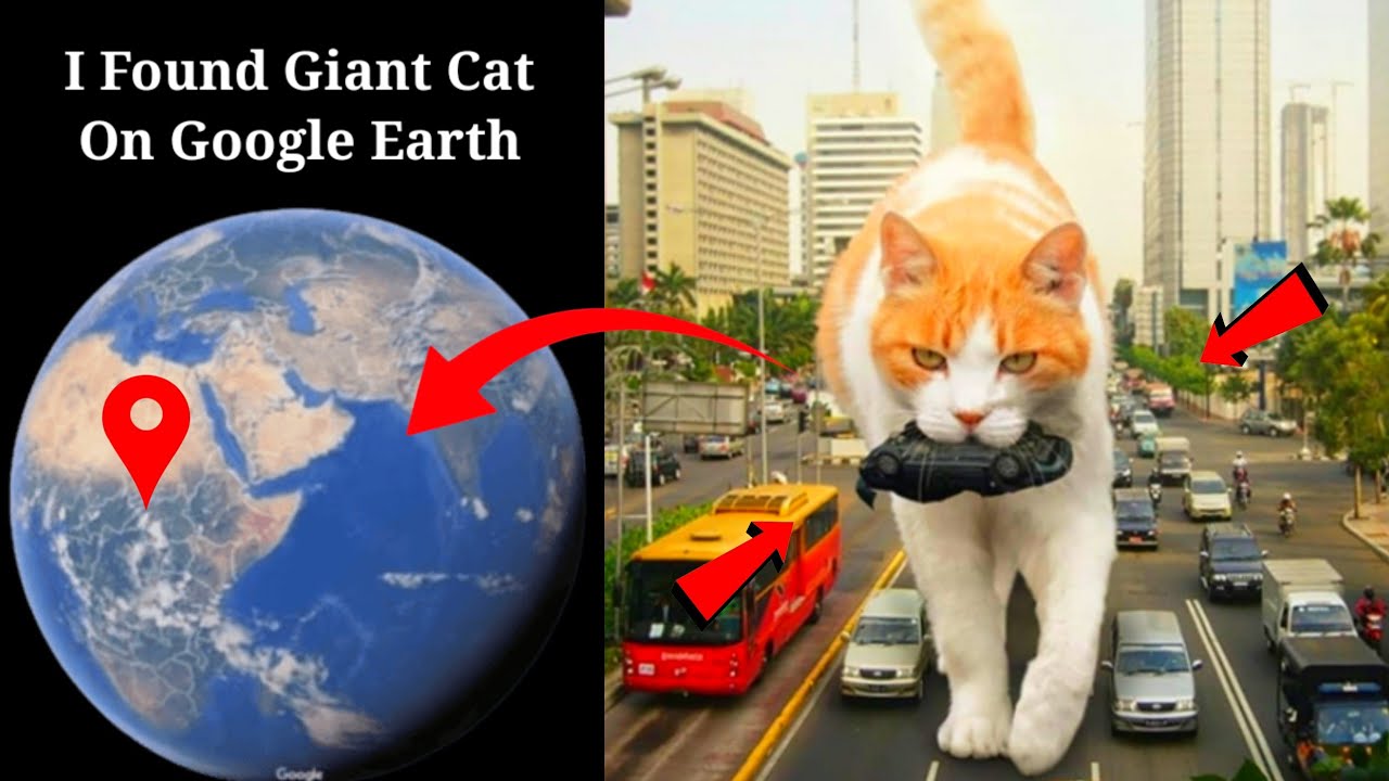 I Found giant cat on Google Earth and Google maps #viralvideo # ...