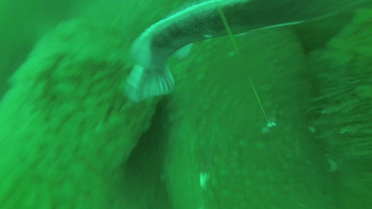 The Angler OCMD #2 - YouTube