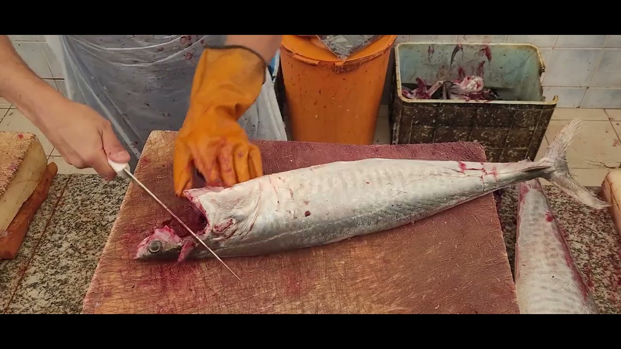 Fresh Salman Fish Filleting in Oman Fish Market। Arabian Way to Cutting ...