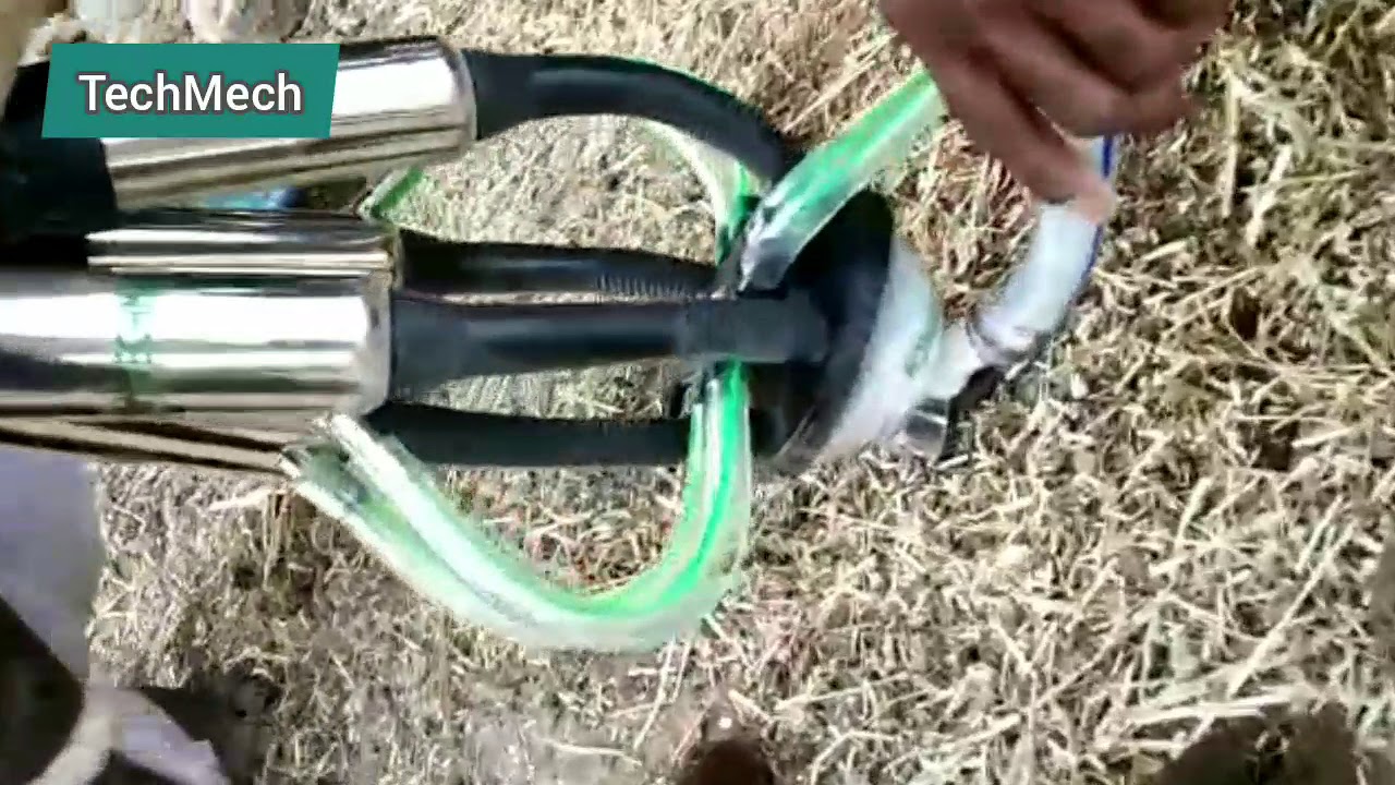 TechMech Single Cluster Milking Machine - YouTube