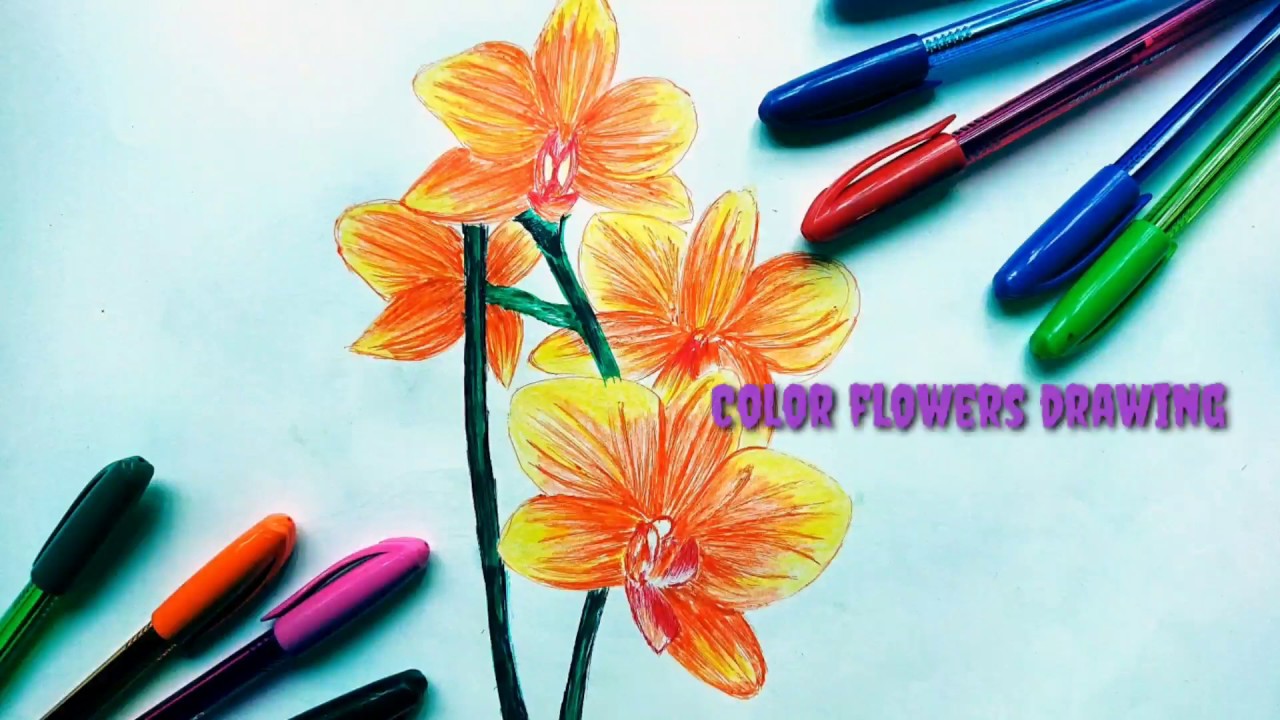 Color flowers drawing " speed drawing" using cheapest colour pen ...