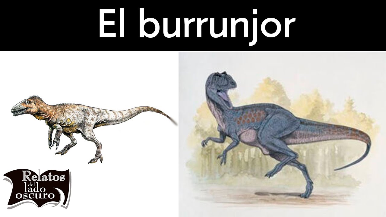 El burrunjor | Relatos del lado oscuro - YouTube