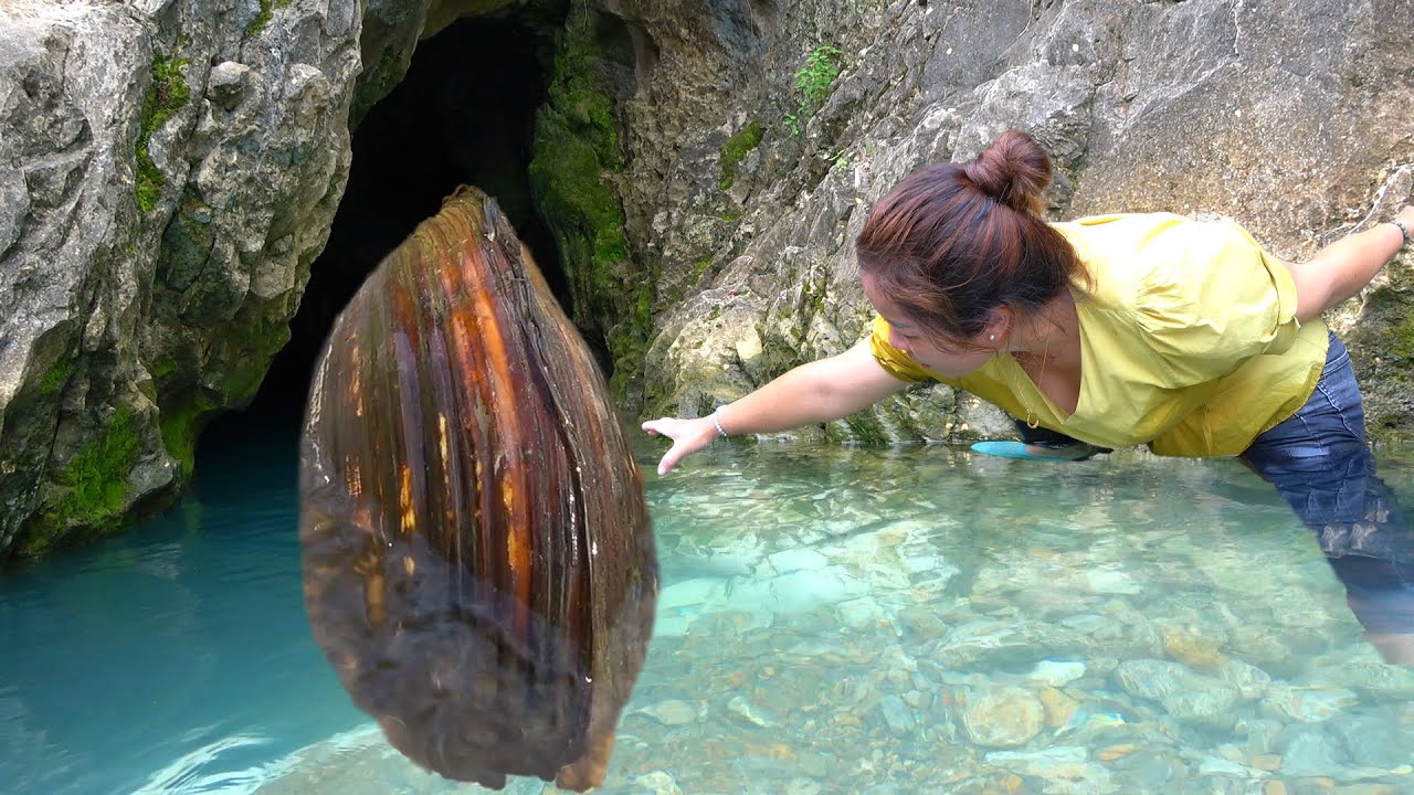 A century old pearl clam emerged from the underground river in the cave ...