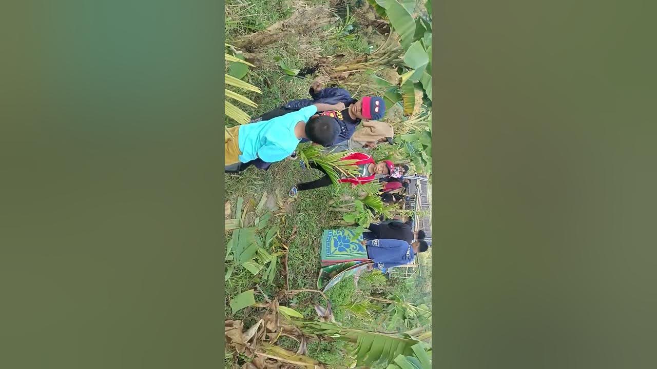 Lalfaka te thlamah Chaw kan fak - YouTube