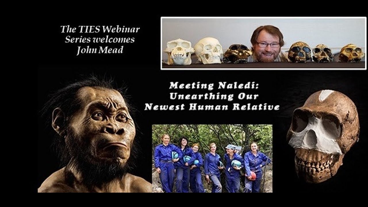 Introducing Homo naledi, our newest relative - YouTube