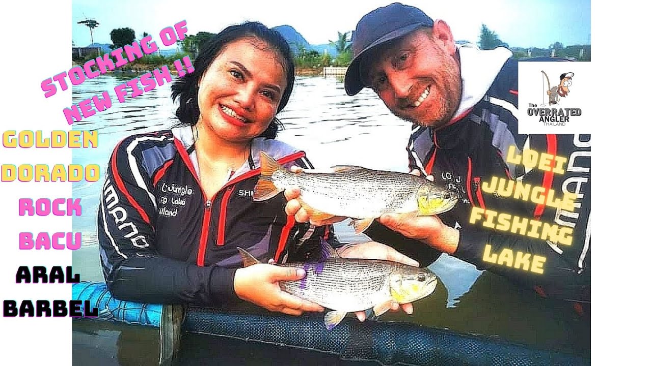 LOEI JUNGLE FISHING LAKE. Stocking amazing species, Golden Dorado, Aral ...