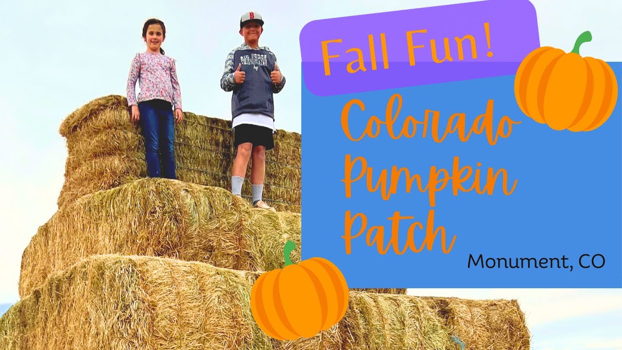 Colorado Pumpkin Patch in Monument CO #pumpkinpatch #livingincolorado #coloradorealtor #colorado ...