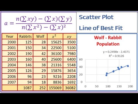 Line of Best Fit | Rabbit and Wolf Correlation Scatter Plot Linear ...