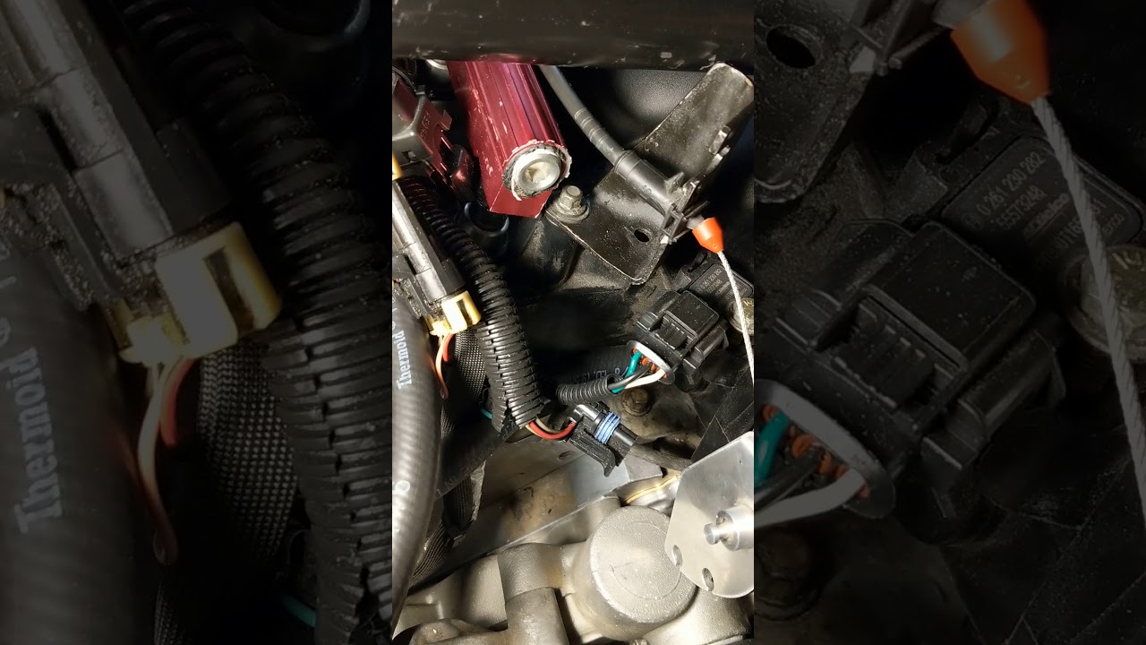 Mighty Mouse Catch Can LS3 - YouTube