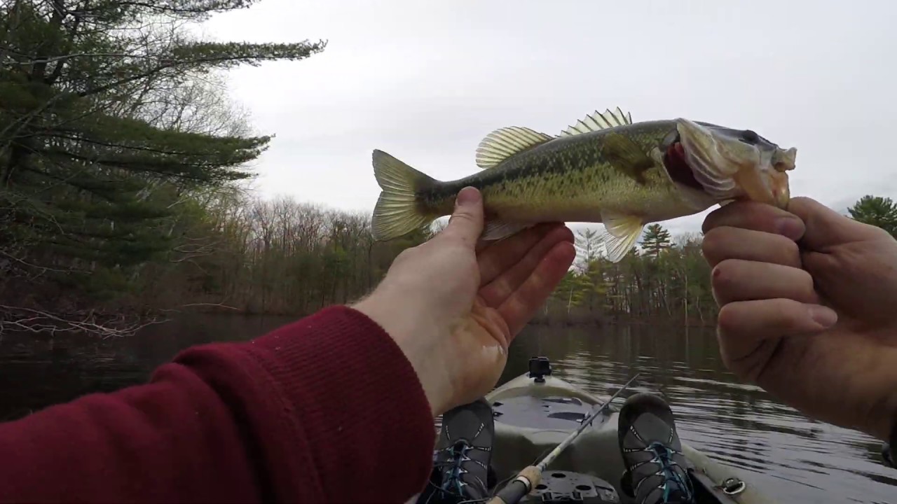 Early spring bass fishing from the Kayak! - YouTube