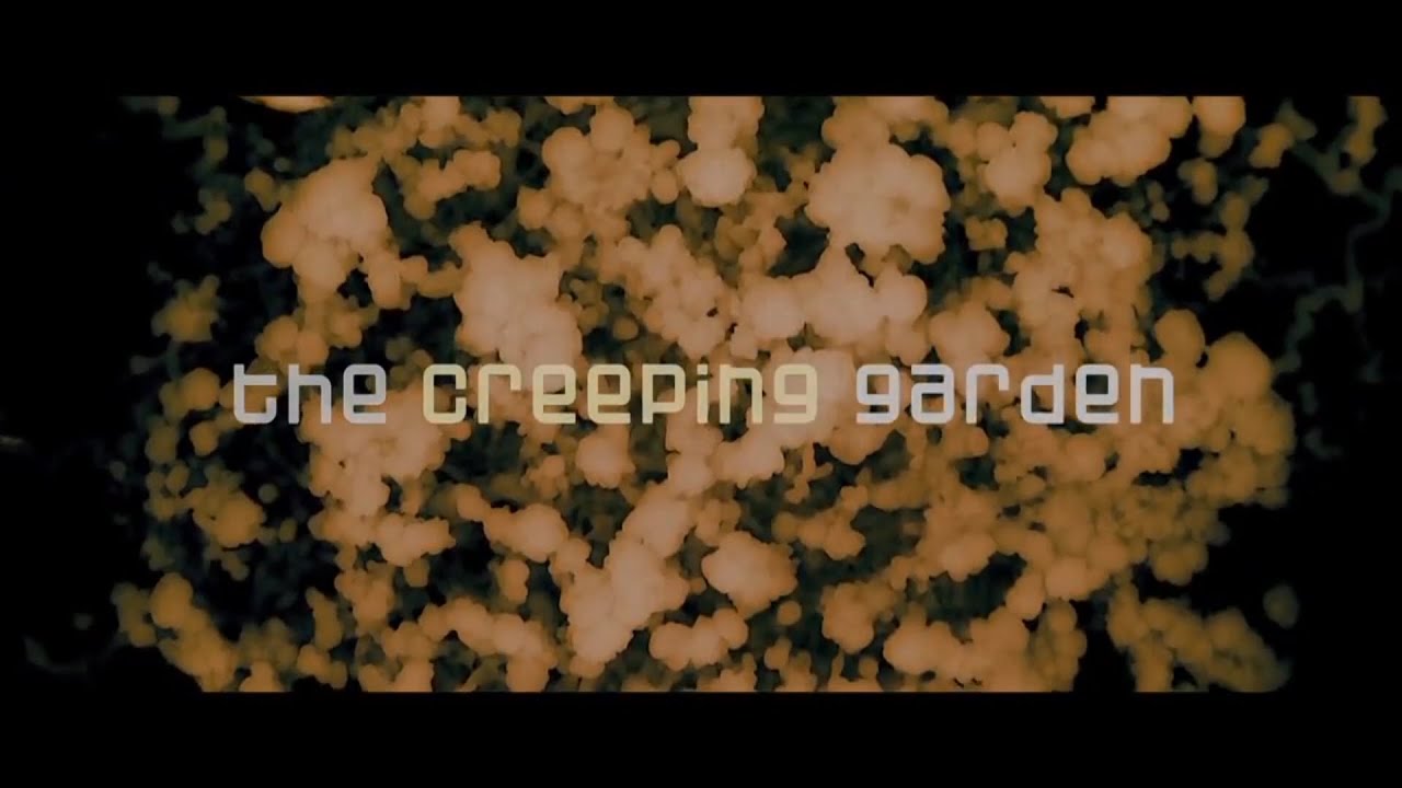 BFF Fantasia 2014: Jasper Sharp and Tim Grabham Interview - The Creeping Garden - YouTube