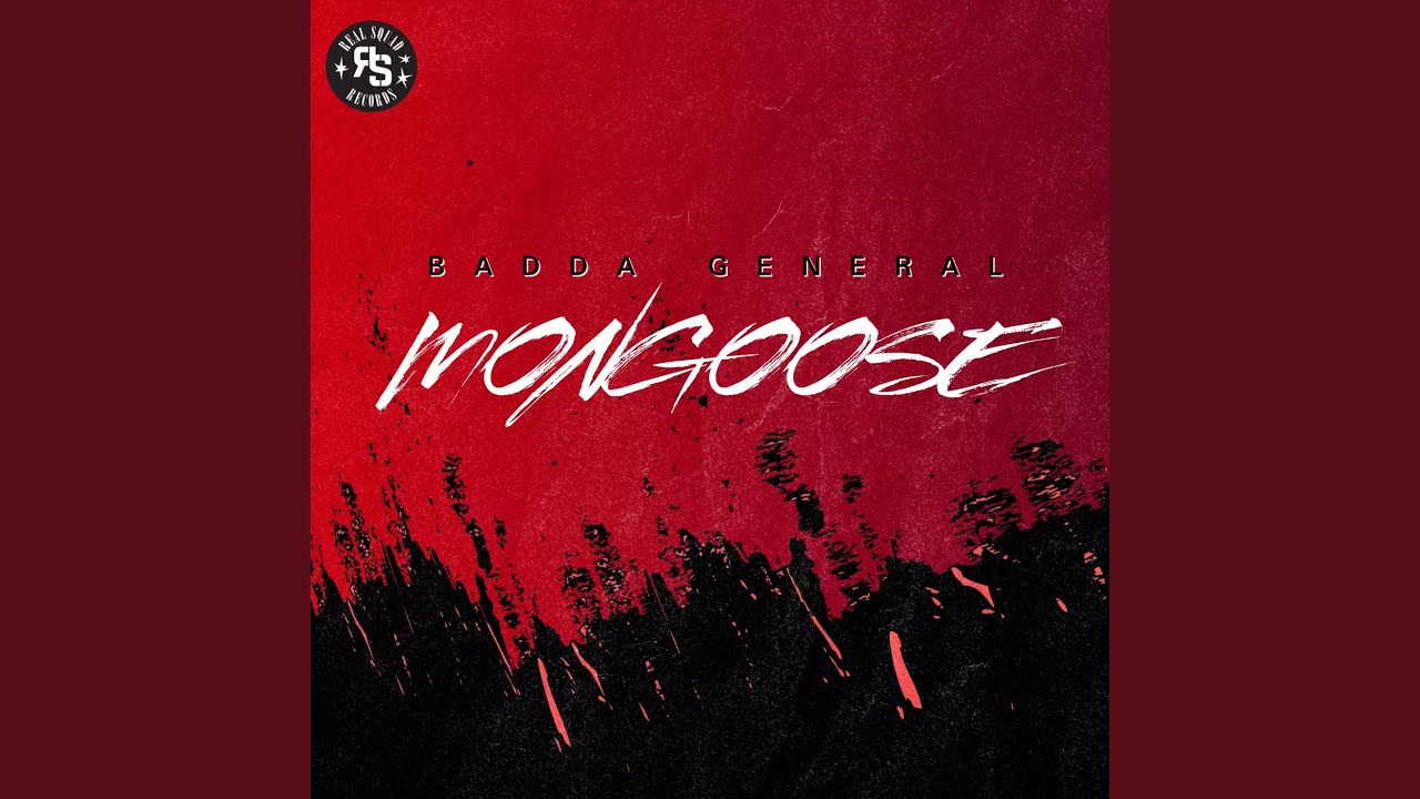 Mongoose YouTube mongoose-youtube