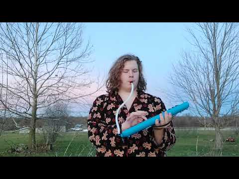 Ievan Polkka (leekspin meme) on... you guessed it... melodica.