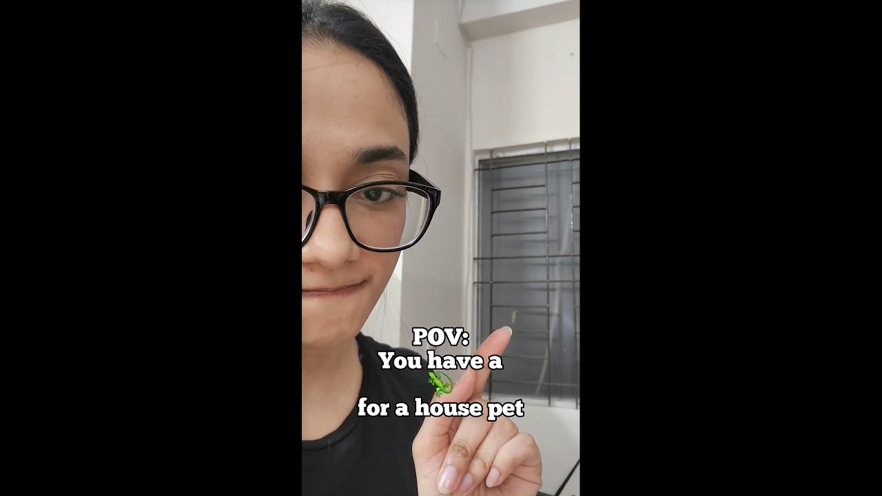 POV: You have a chipkali for a House Pet - YouTube