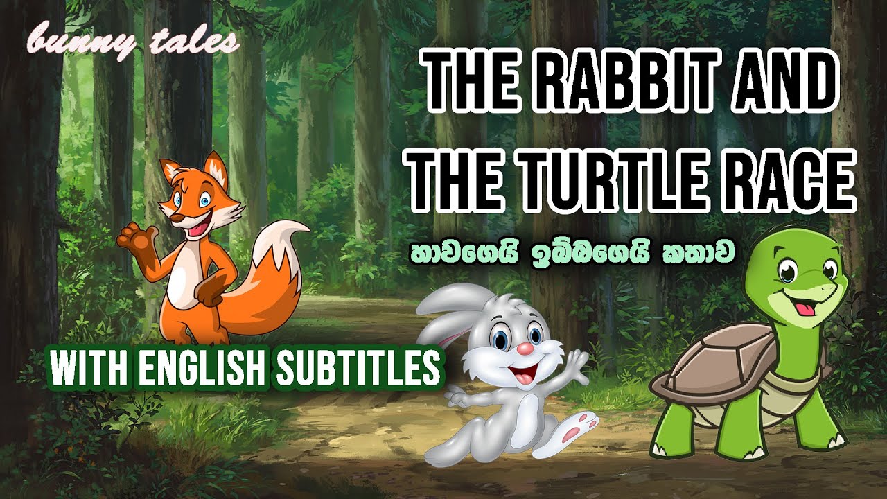 Rabbit and turtle race | rabbit and turtle cartoon | The Tortoise and ...