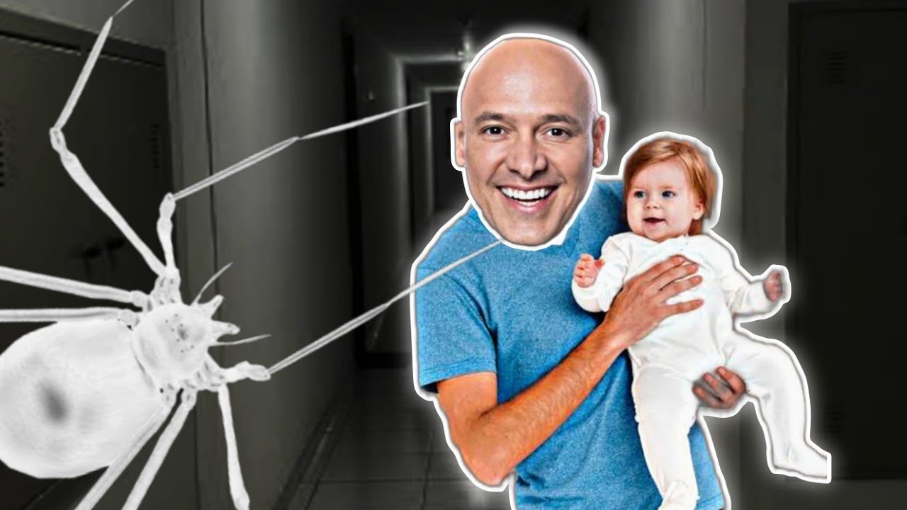 TENHO QUE SALVAR ESSE BEBÊ DE ARANHAS ! | Amanika - YouTube