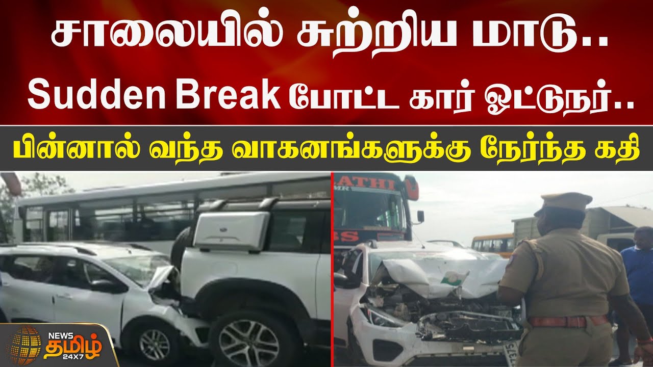 சாலையில் சுற்றிய மாடு.. Sudden Break போட்ட Car Driver.. | Madurai Road ...