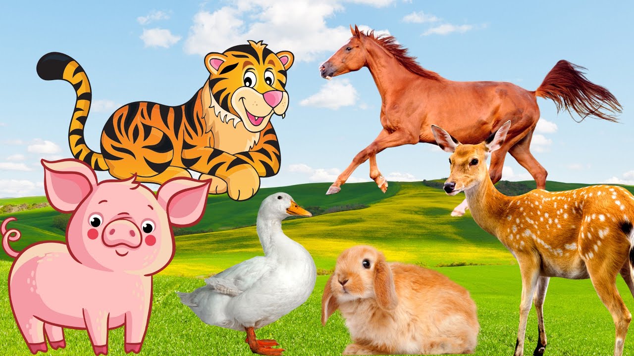 Learn the colors of animals: Tiger, horse, duck, pig, rabbit,... - YouTube