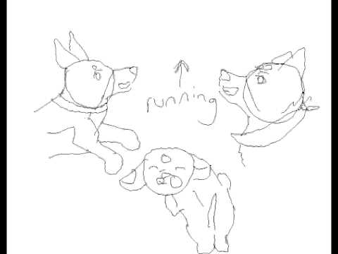 Rough Story Board Animation