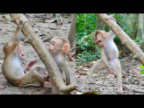 Smart tiny Lexi happy Showing her Cute Style to brother Luno so lovely ...