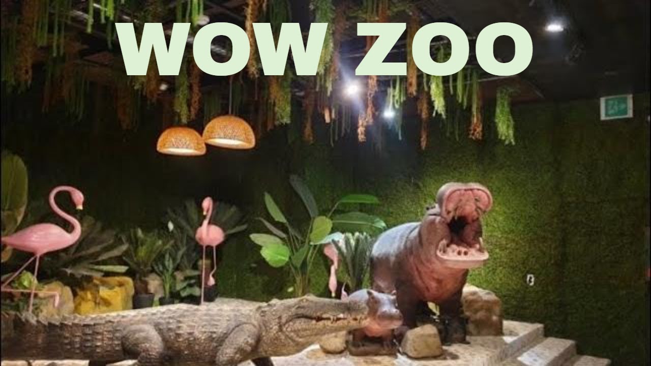Кёнджу зоопарк WOW ZOO. Korea - YouTube