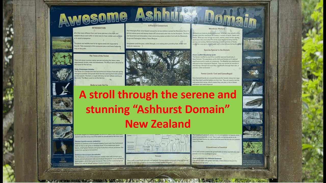 Discovering the hidden gems of Ashhurst Domain on foot in New Zealand ...