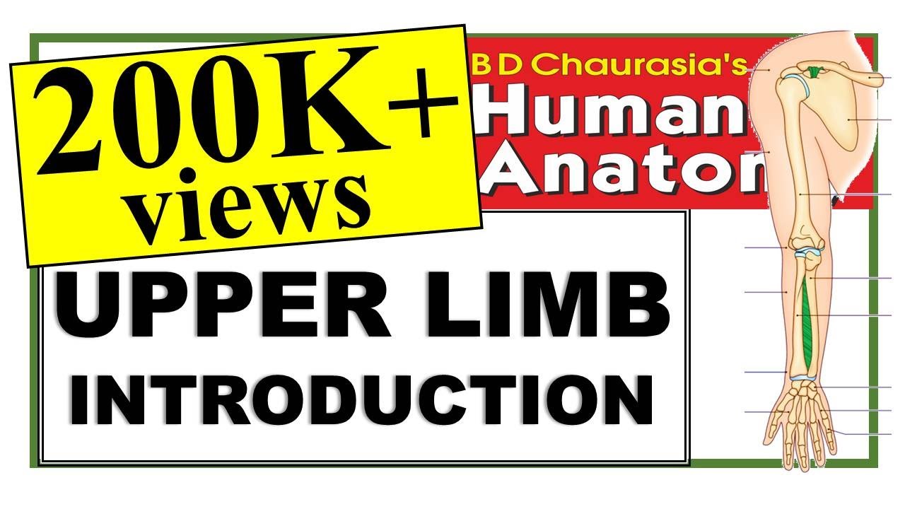 Chp1 | Upper Limb Introduction | BD Chaurasia Regional Anatomy | Dr ...