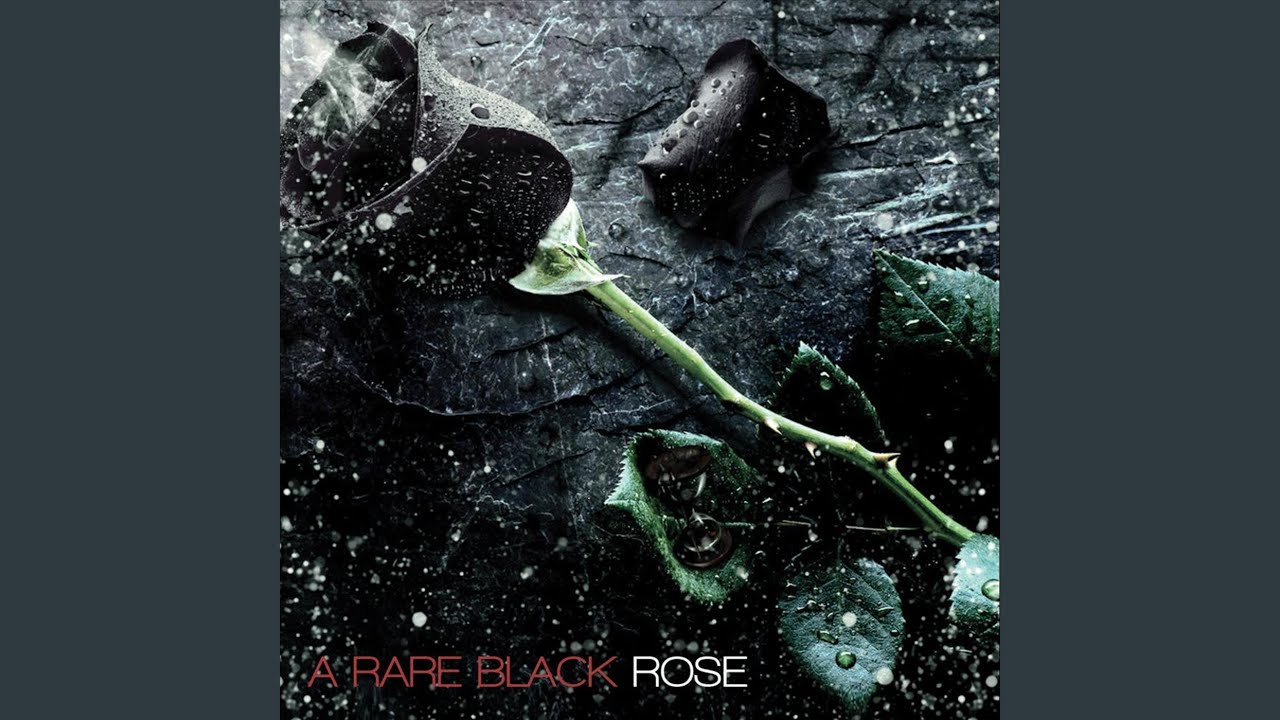 A Rare Black Rose Rap - YouTube