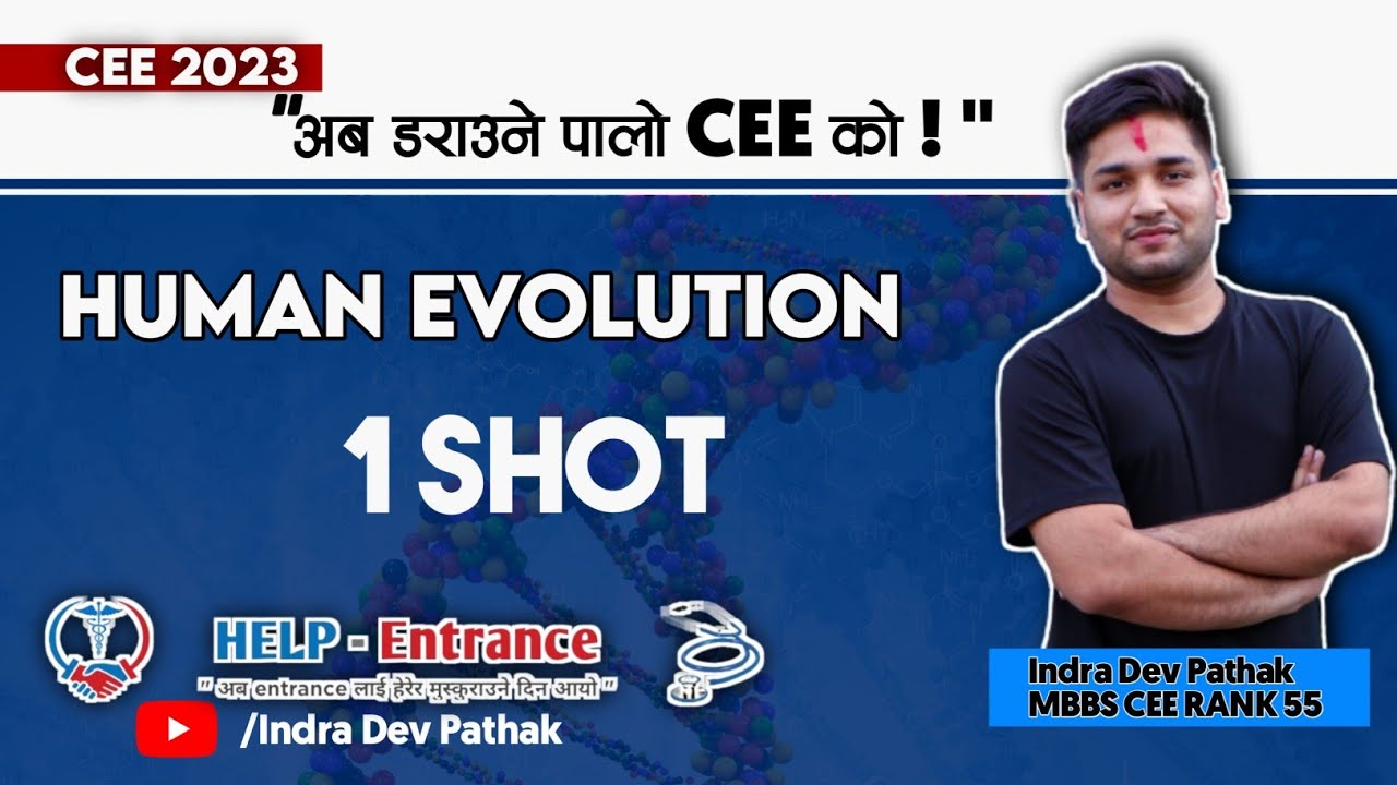 Human Evolution - YouTube