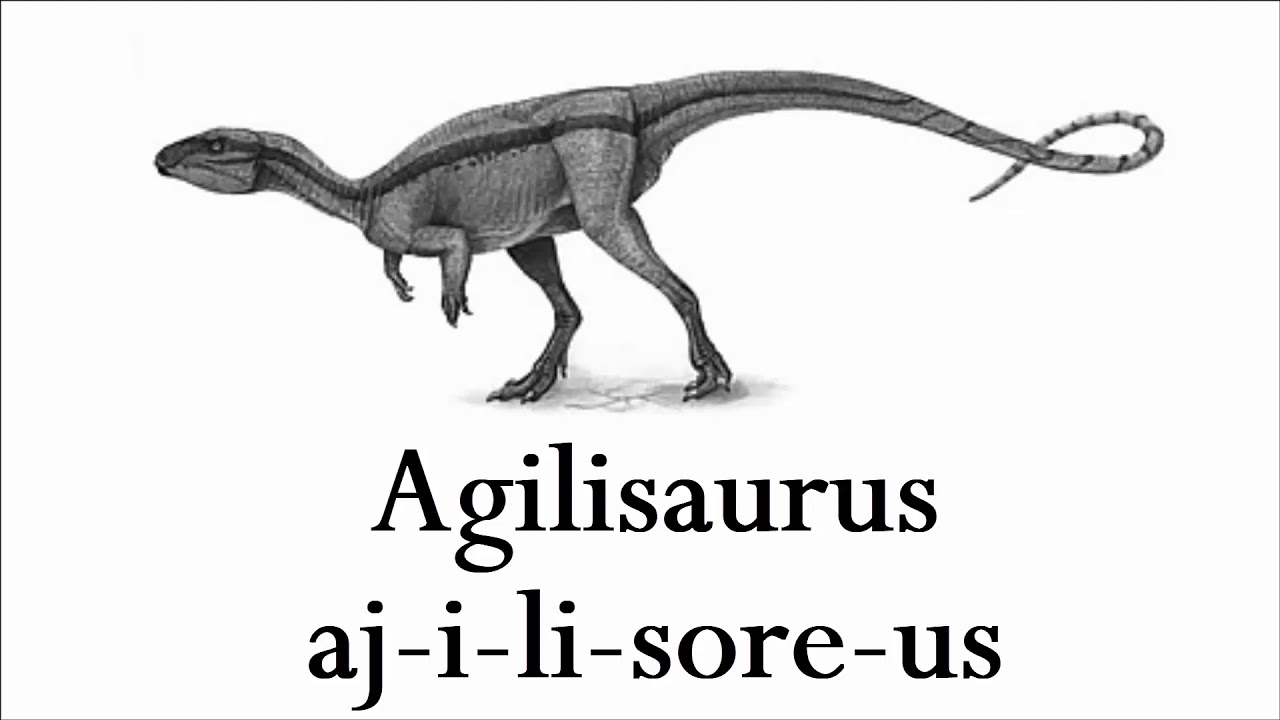 How To Pronounce Agilisaurus || Ask Akash - YouTube