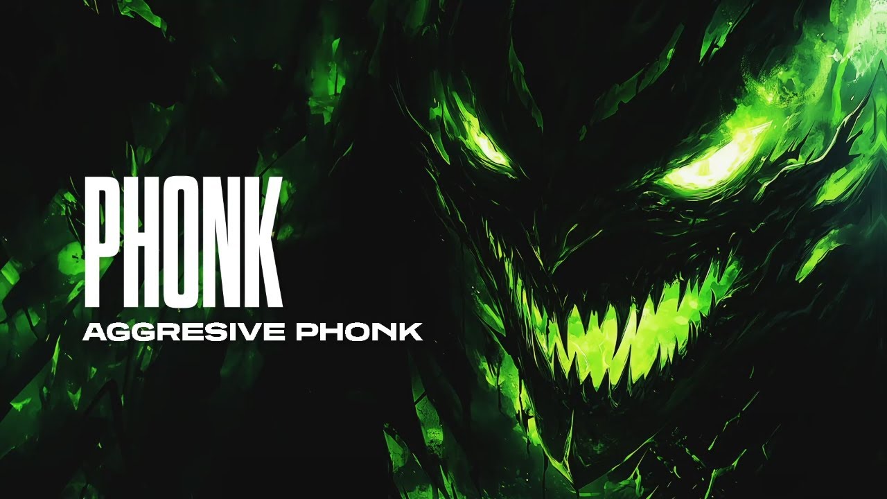 PHONK MUSIC 2025 ※ Brazilian Phonk | Funk ※ Фонк 2025 ※ PHONK MIX #009 ...