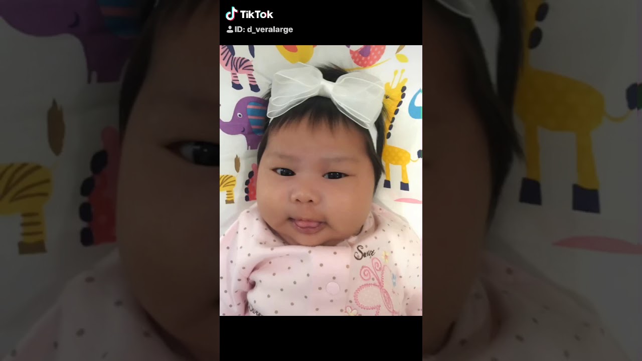 Charlotte Main Tik Tok Kan Dulu Youtube