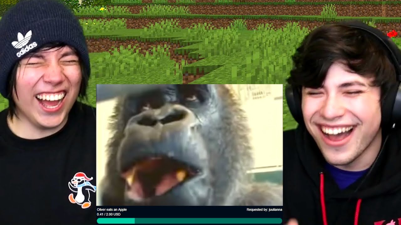 George & Quackity Laugh at a Gorilla! - YouTube