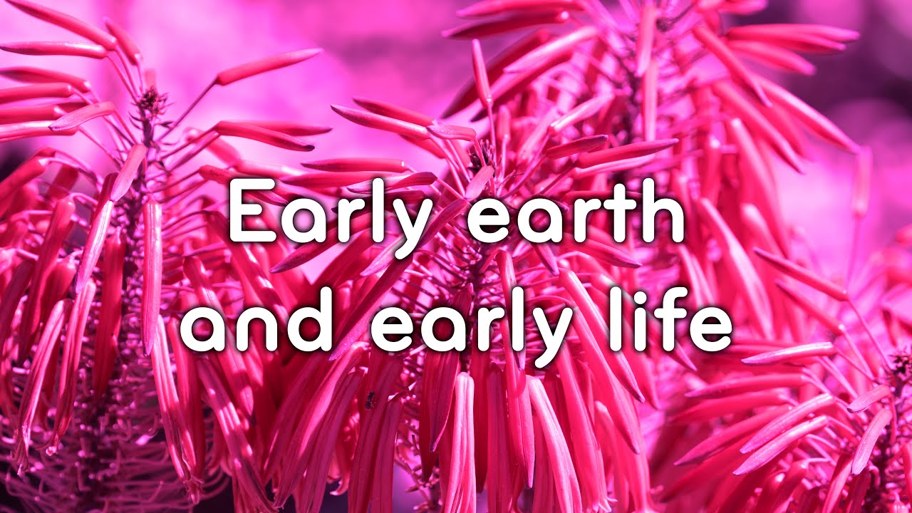Early earth and early life co-evolution | Stefan Lalonde | Geochemist ...