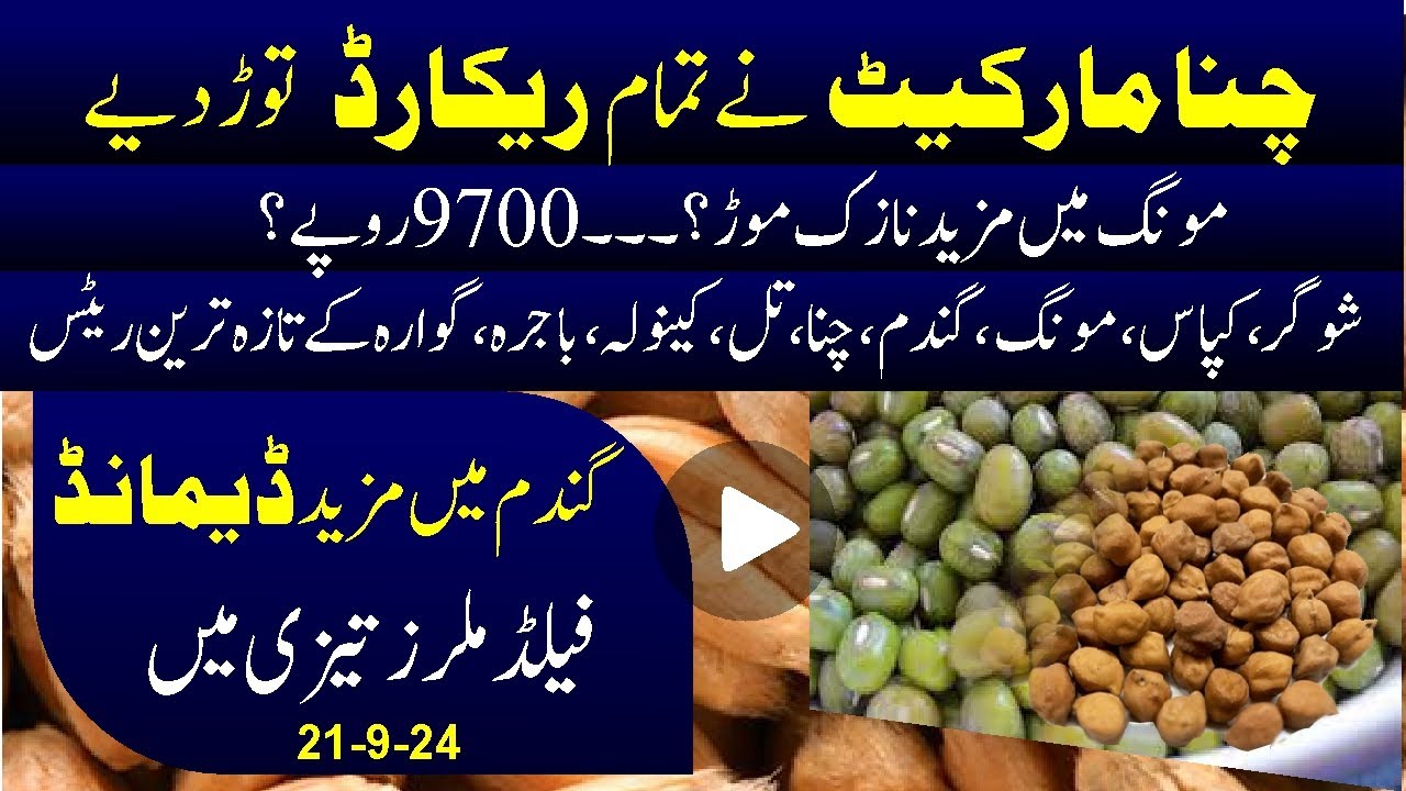 wheat-rate-in-punjab-moong-rate-today-kala-chana-price-in-pakistan