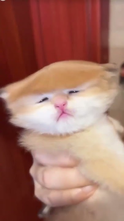 Long before time had a name... - YouTube