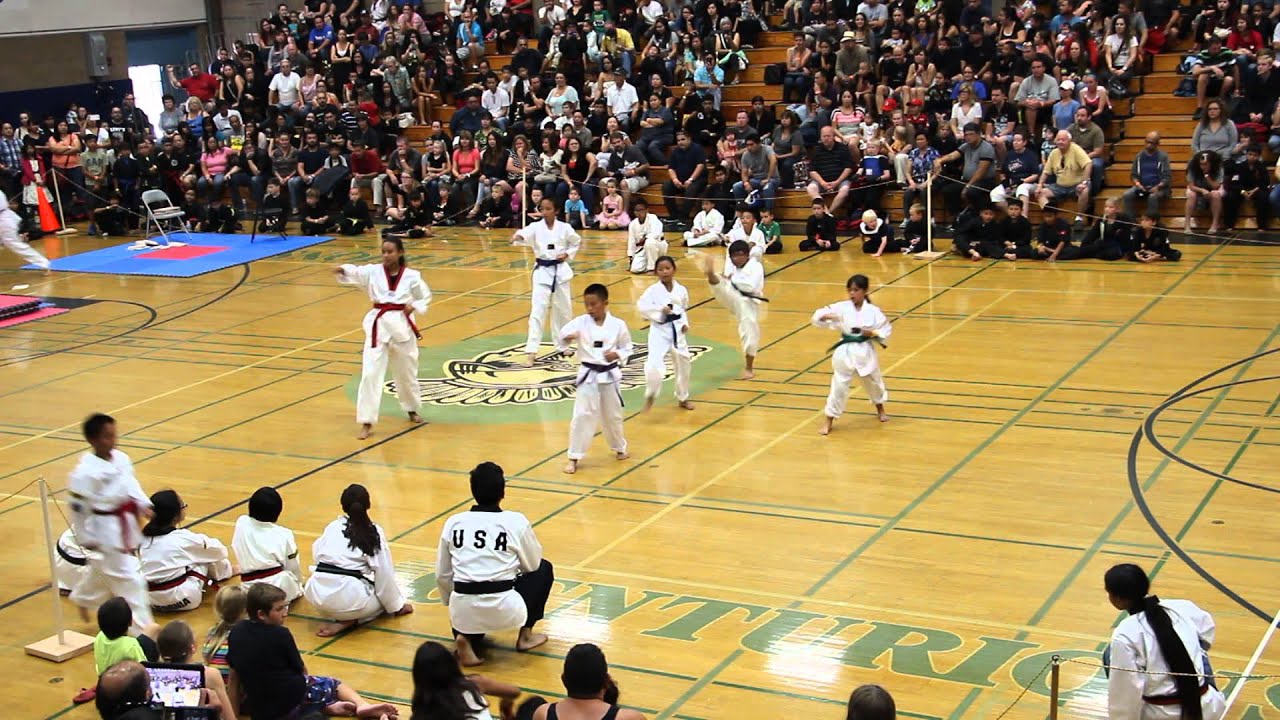 TKD FULL Demo Team - June 2015 - YouTube
