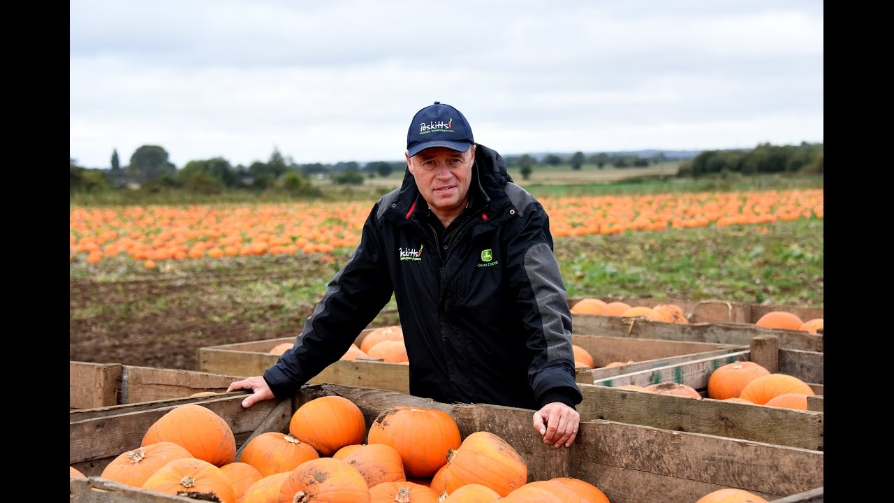 Guy Poskitt - Red Tractor pumpkin grower - YouTube