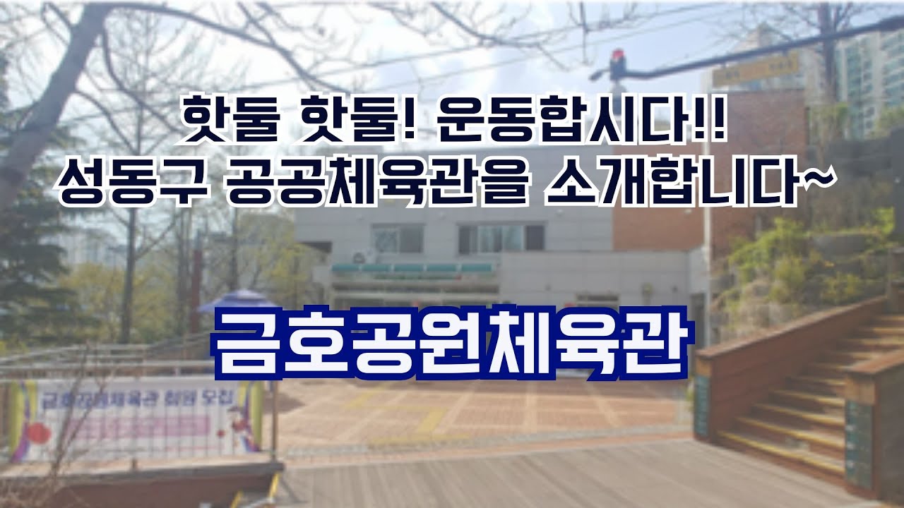 성동구 공공체육관을 소개합니다 금호공원체육관 Youtube