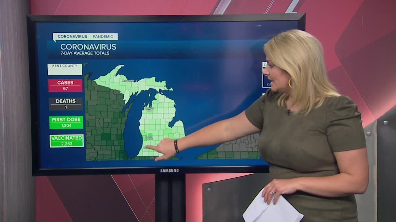 Look at current COVID numbers in US & Michigan with Deanna Falzone ...
