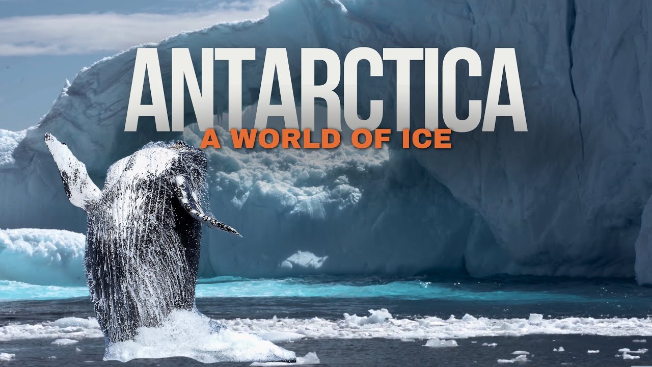 Antarctica Documentary: A Cinematic Journey to the Last Great ...