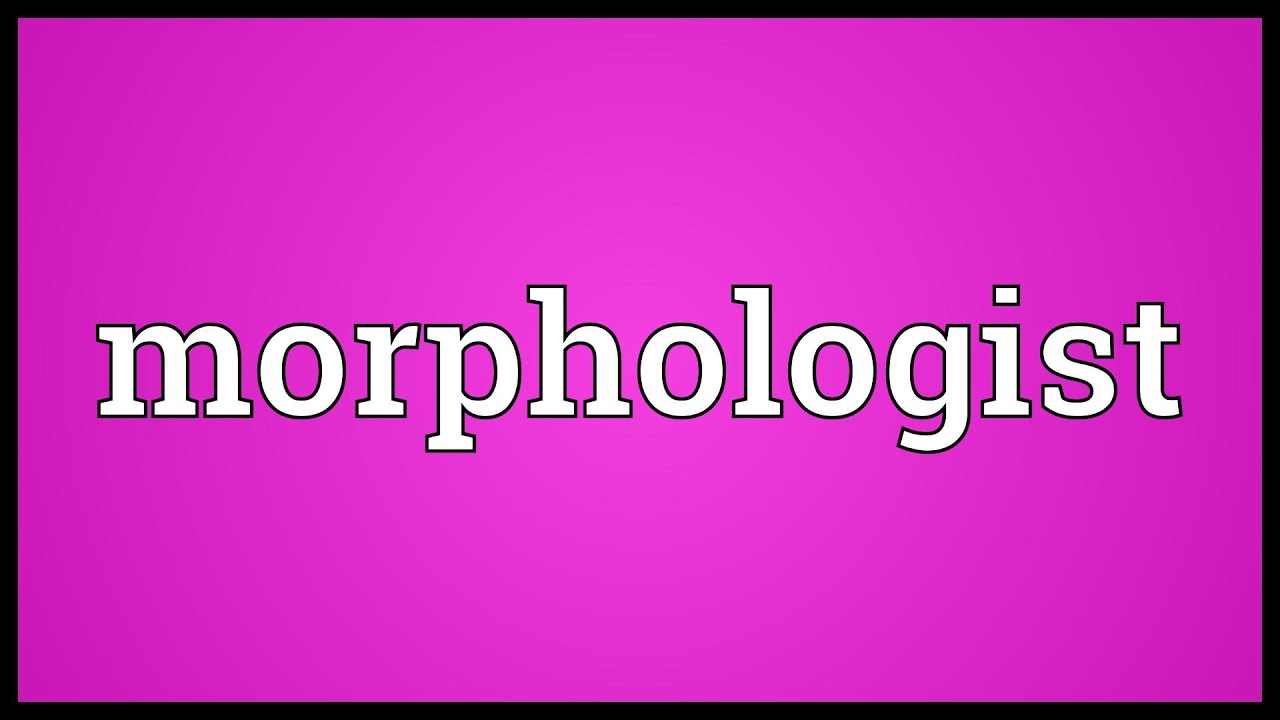 Morphologist Meaning - YouTube