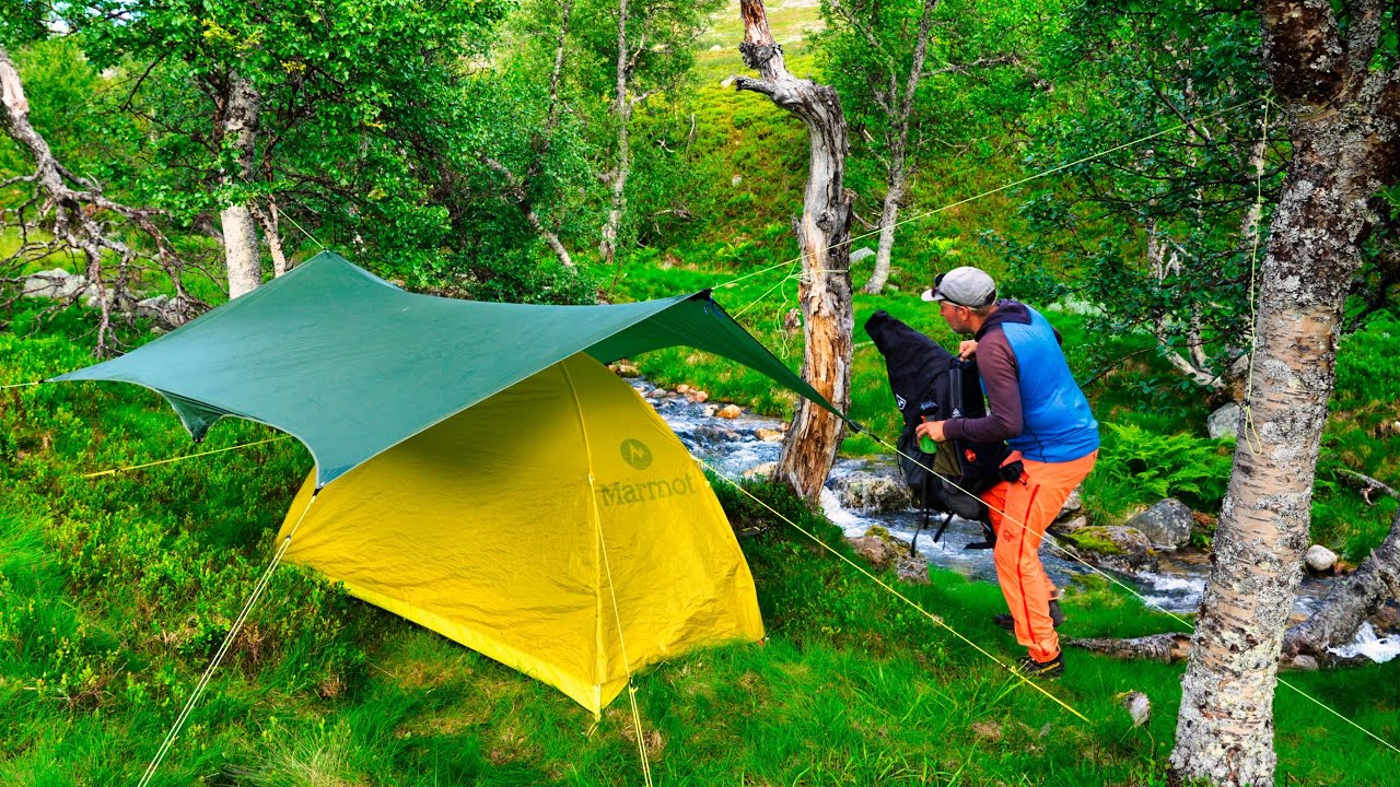 Camping by a Peaceful Hidden Creek in the Forest with Tarp & Tent ...