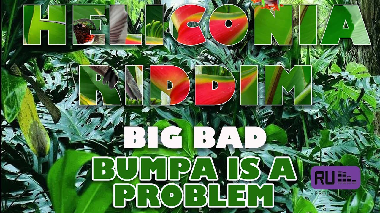 Big Bad - Bumpa is a problem (Heliconia Riddim) 2015 - YouTube