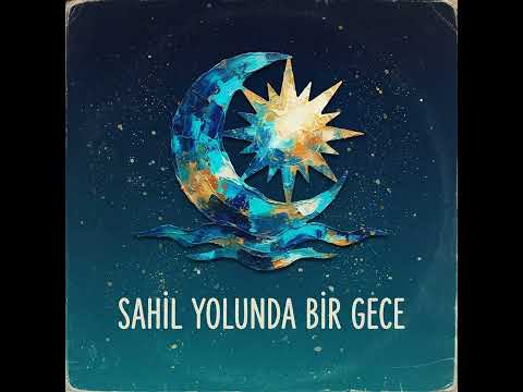 SAHİL YOLUNDA BİR GECE