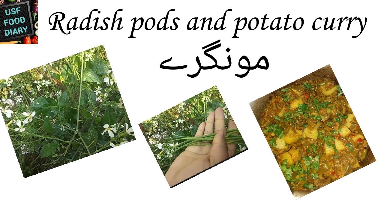 Radish pods and potato curry recipe by USFfooddiary| Aloo mongray |# ...