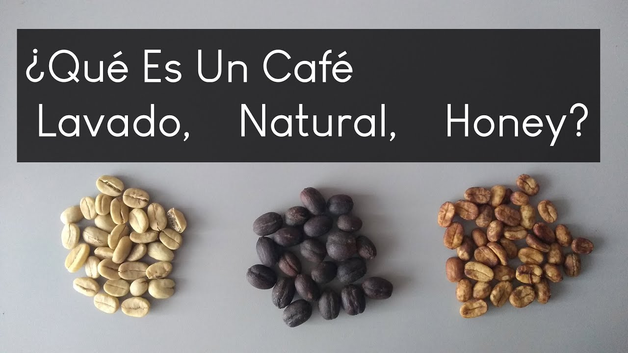 ¿Qué es Café Lavado Natural y Honey? - YouTube