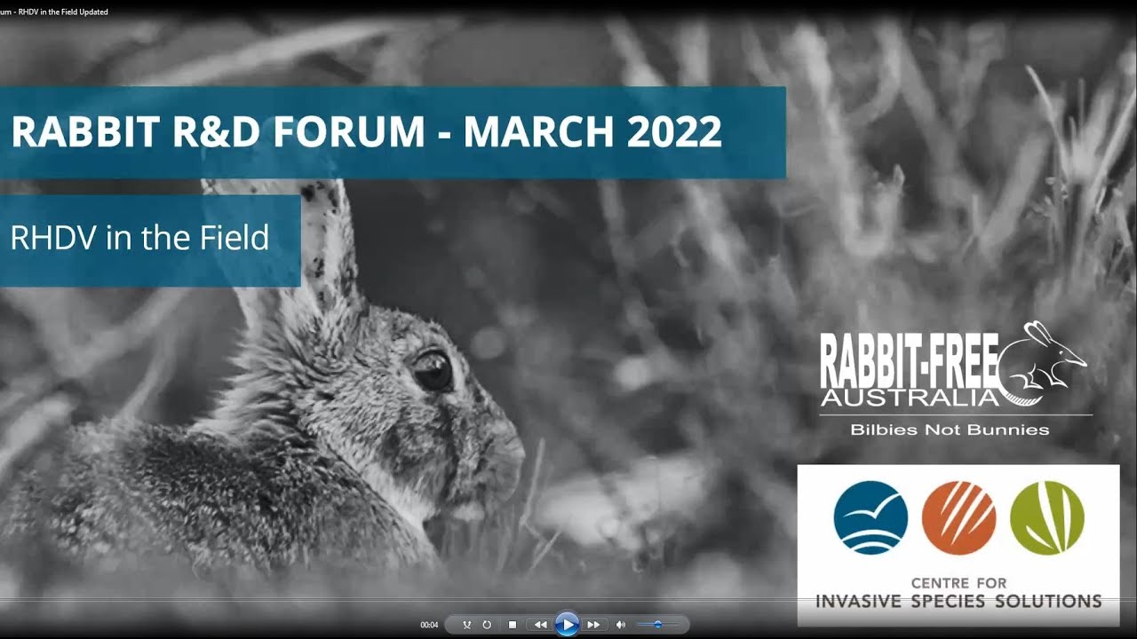 Rabbit Forum - RHDV in the Field Updated - YouTube