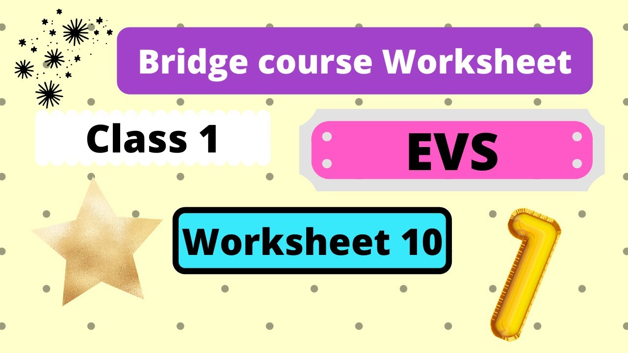 1std Evs Worksheet 10 In Tamil Term 1 TN Samacheer Class 1 Evs YouTube 1std-evs-worksheet-10-in-tamil-term-1-tn-samacheer-class-1-evs-youtube