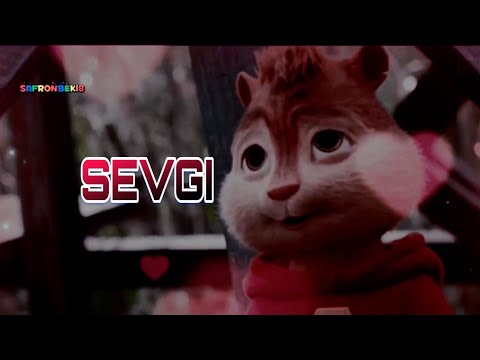 🔻Burunduqlar - SEVGI💗 Official Video |Uzmir & Mira |